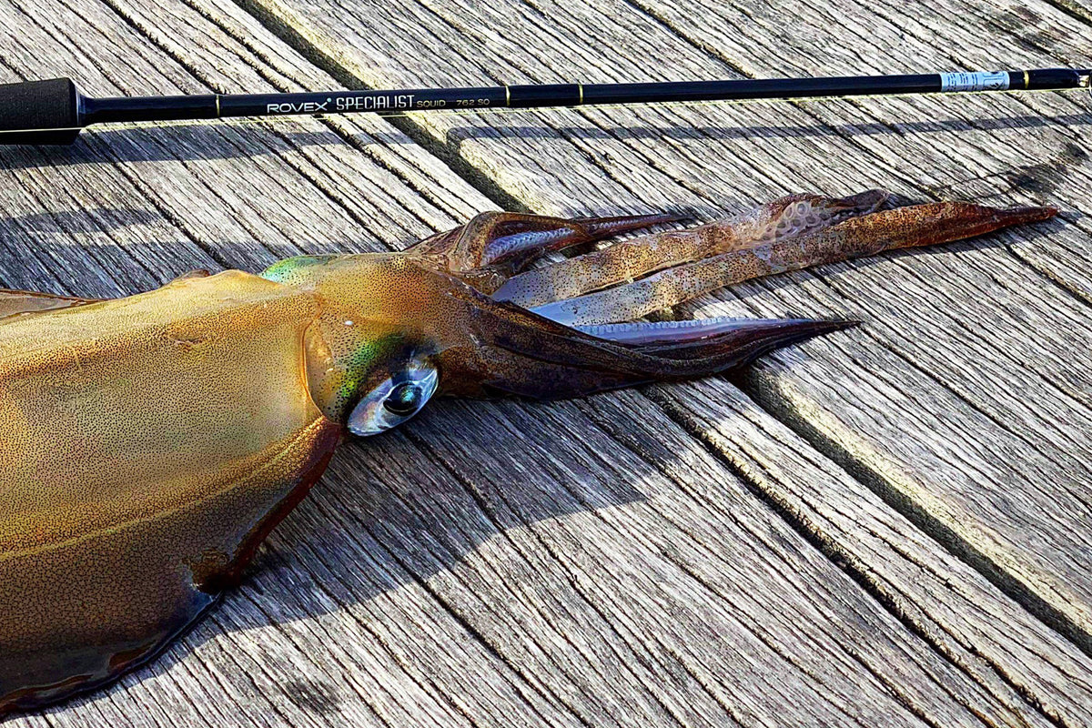 SQUID / EGI COMBOS – Jarvis Walker Brands