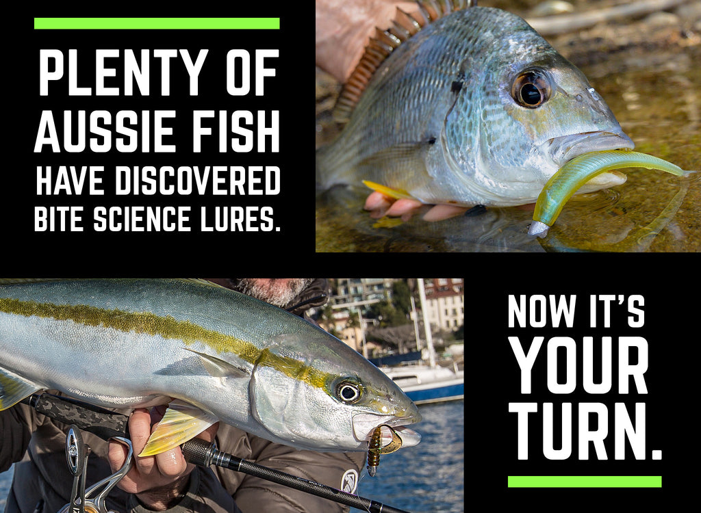 Bite Science Lures - Home – Jarvis Walker Brands